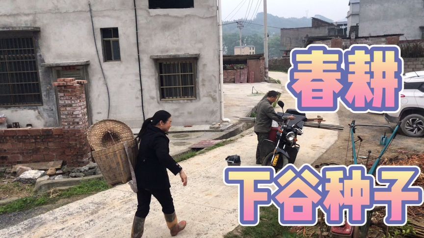 春种一粒树,秋收万颗子,每一粒米都来之不易,下种子过程…