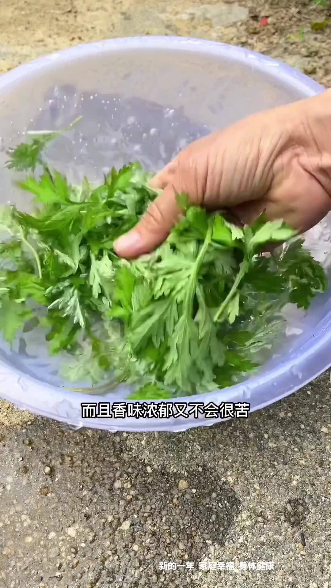 艾草你的家乡有这种植物吗陕北榆林