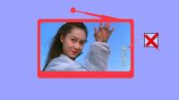 一键去除视频水印, 让视频变的完美, 美观又实用