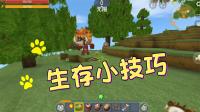 迷你世界:只有老玩家才会的生存小技巧,秒变老玩家