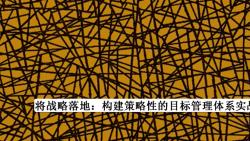 将战略落地:构建策略性的目标管理体系实战课程 胡浩讲管理
