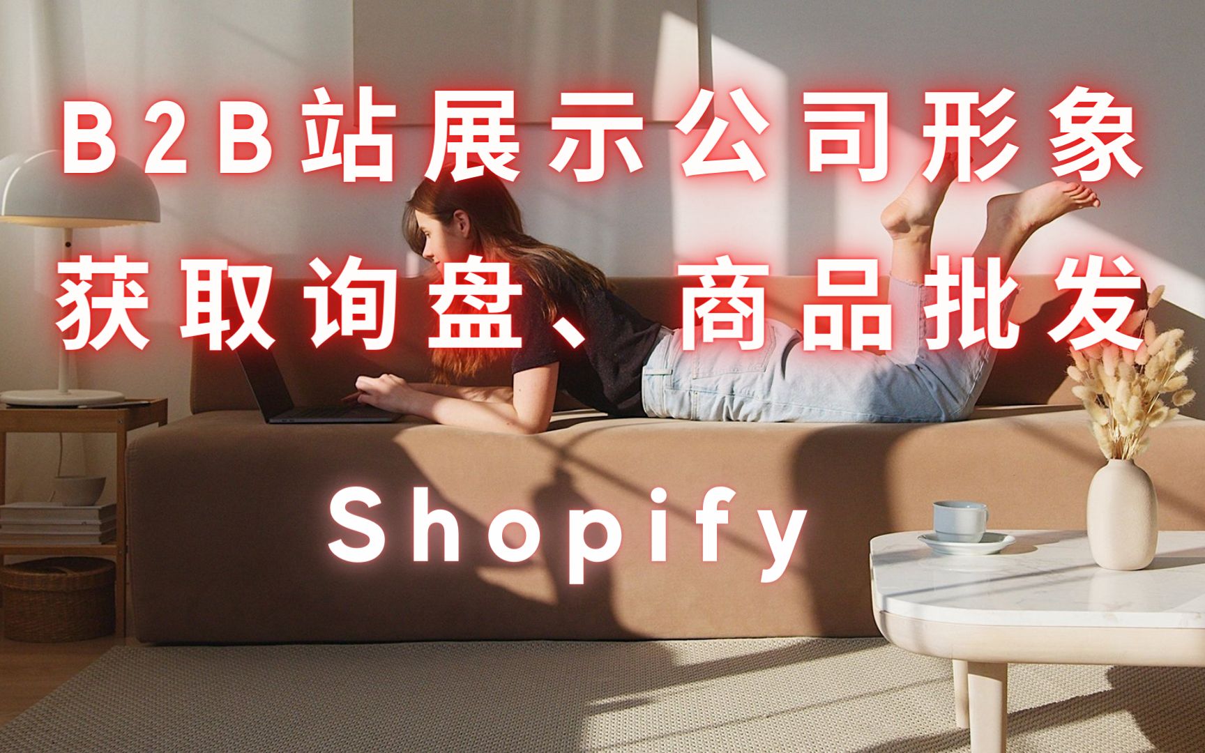 第 120 期 什么是 Shopify B2B独立站建站 优势列举 及 多个案例展示 ...