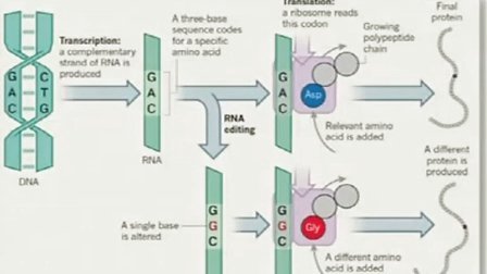 L08-3: 新一代测序技术数据分析 第八讲 RNA-seq III (III)