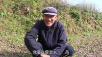 农村老人辛苦种庄稼到收成,艰辛的过程,年轻都人受不了