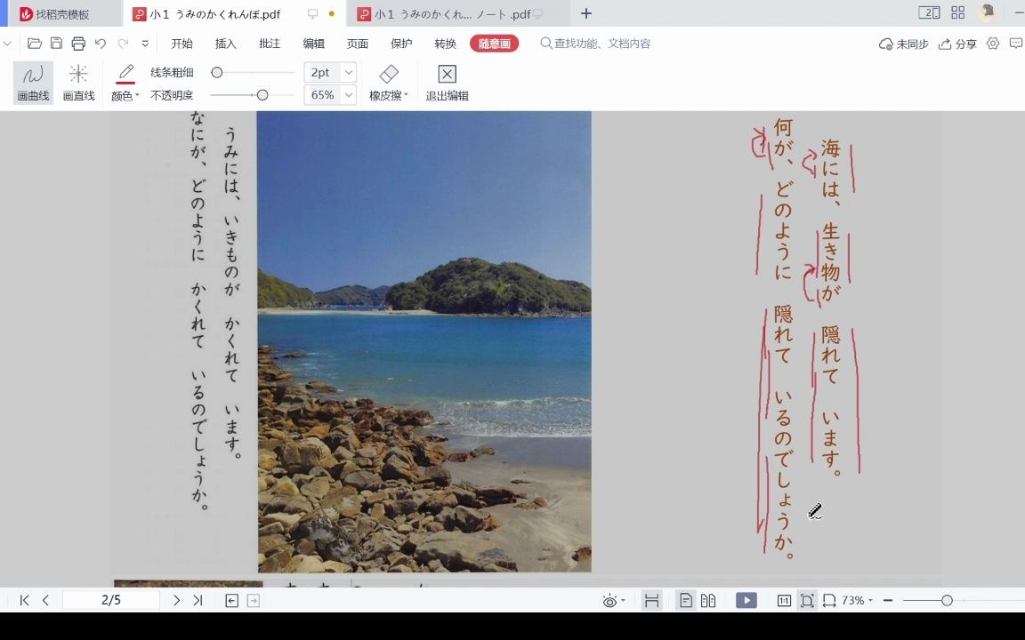 讲解视频|海の隠れん坊《大海里的捉迷藏》日本小学一年级国语课文