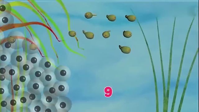 早教动画:幼儿益智动漫一到三十很简单,快来学习数数,.