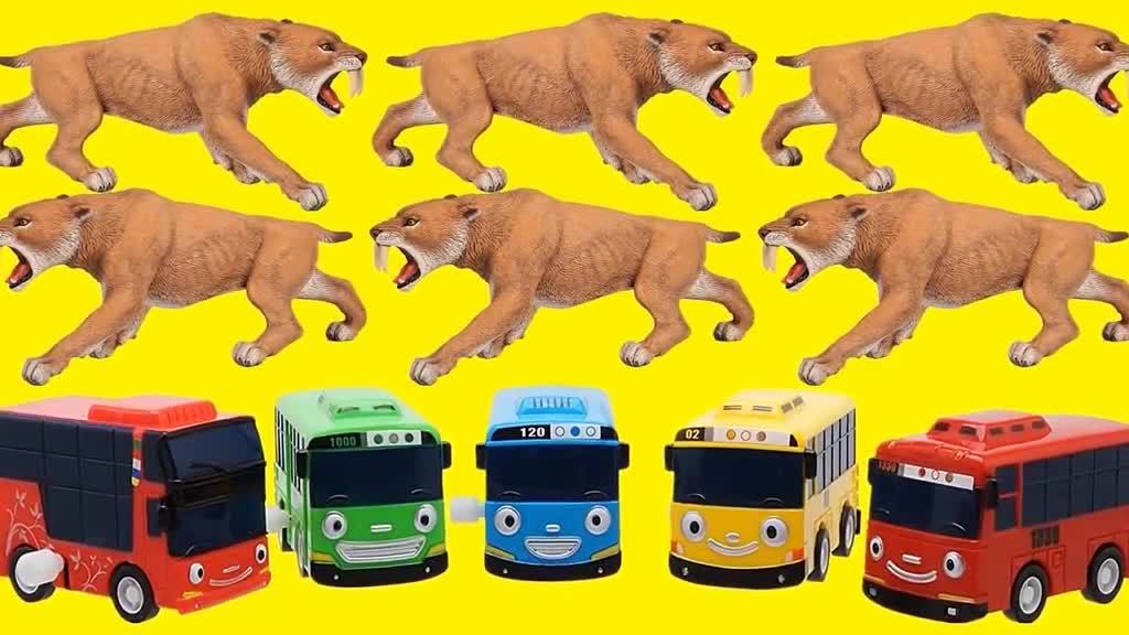 汽车玩具上有多少只大老虎?儿童玩具 儿童英语 数一数