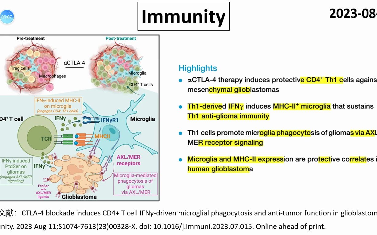 Immunity—抗CTLA-4单抗是治疗胶质母细胞瘤的潜在药物