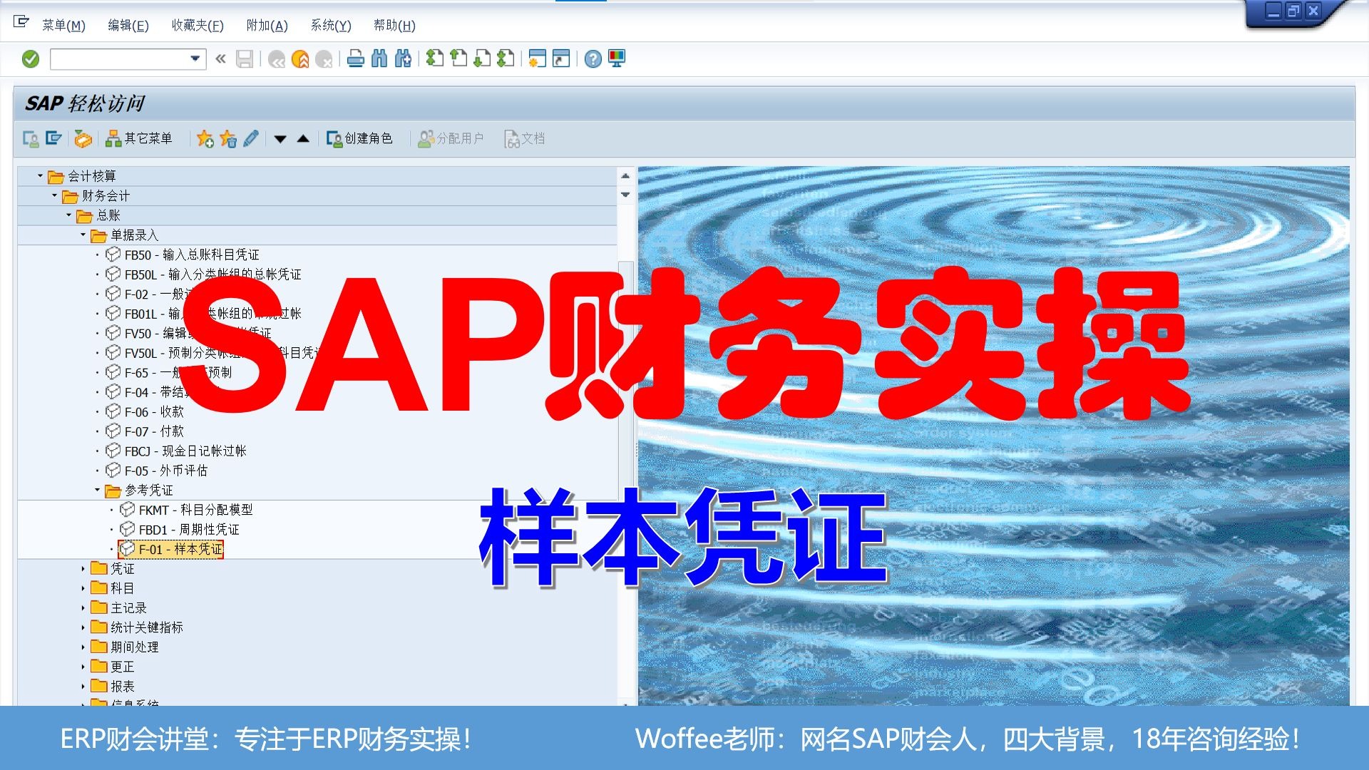 SAP财务实操《样本凭证》SAP快速入门