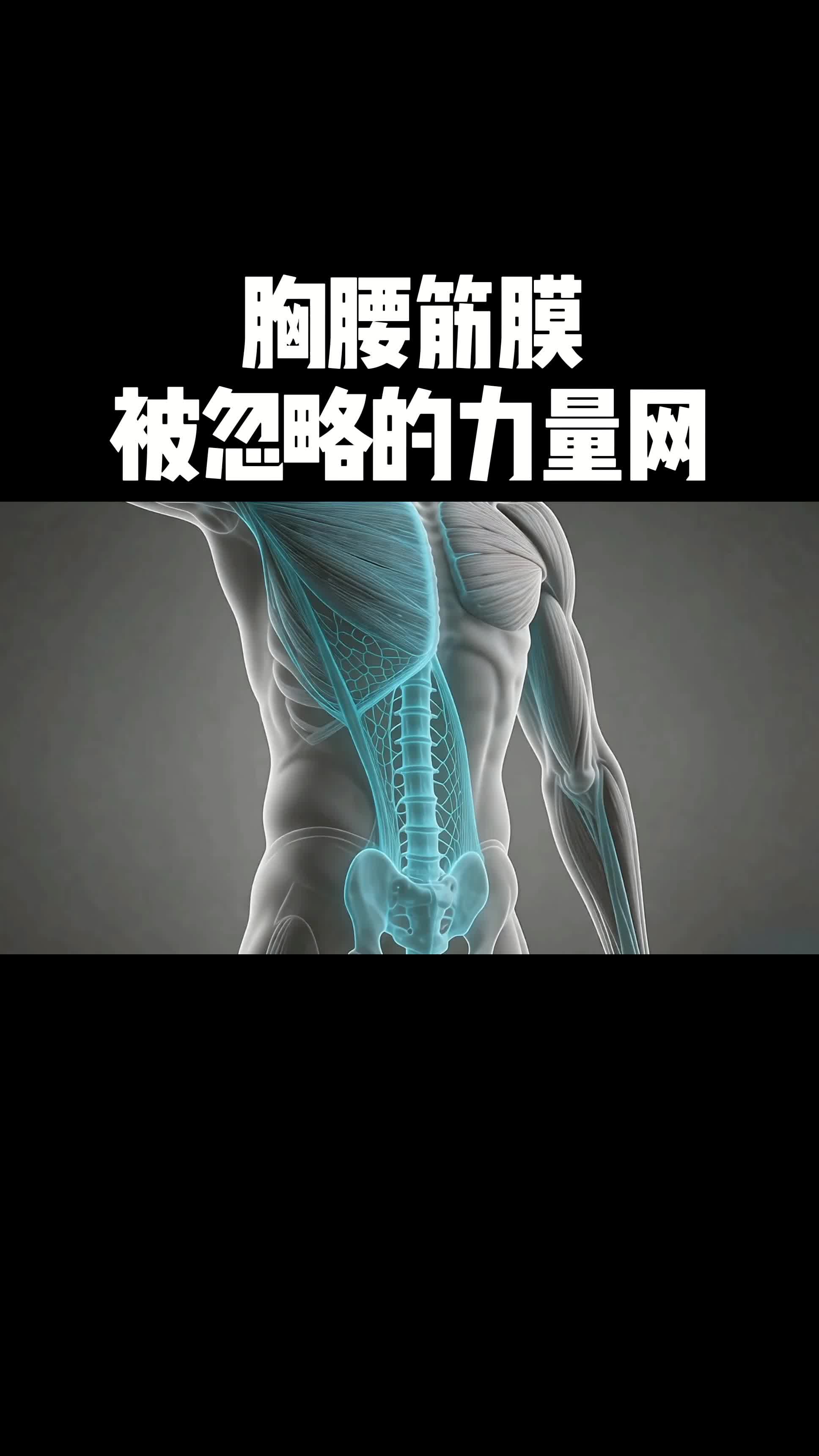 ...你身体里被忽略的力量网#胸腰筋膜 #核心稳定 #筋膜放松 #腰酸背痛