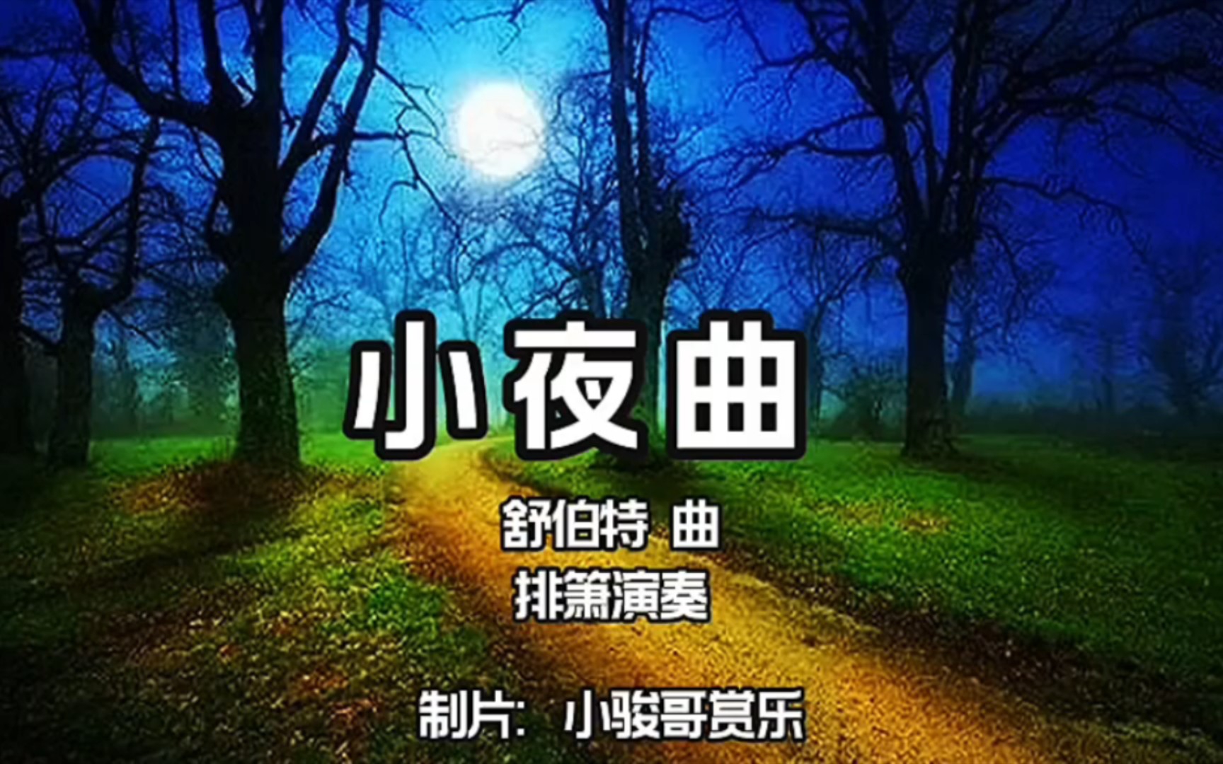 排箫演奏,舒伯特经典名曲:《小夜曲》