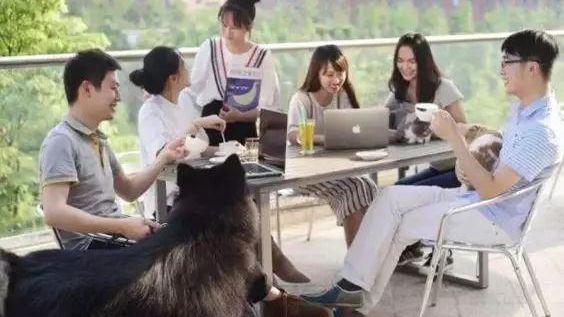 美业门店管理从“心”出发,管人的三大方向你了解吗?