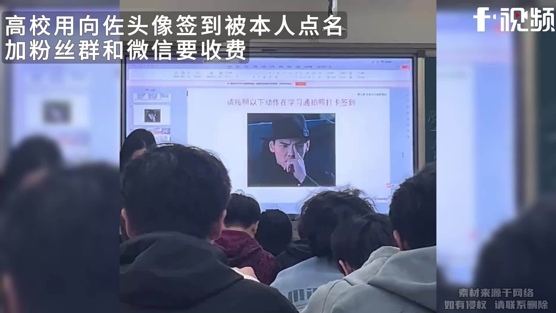 高校用向佐头像签到被本人点名,加粉丝群和微信要收费
