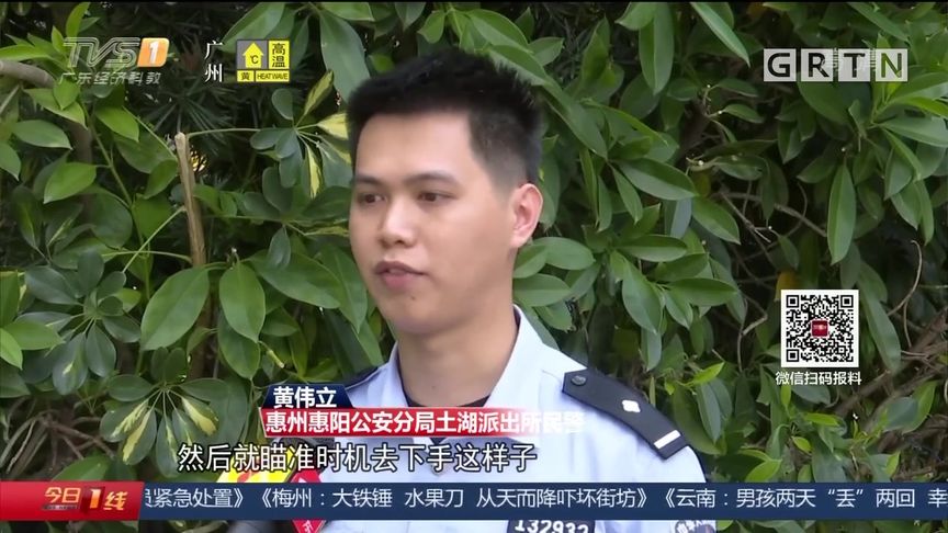 当街物色狗狗下手,弓弩射毒针杀狗,盗狗销赃团伙覆灭!