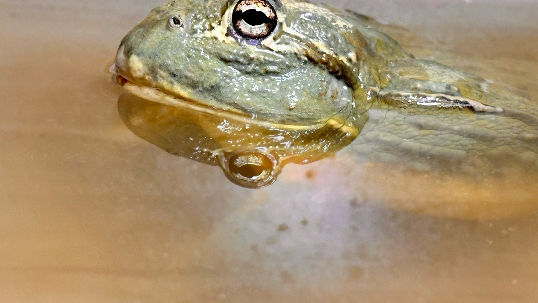 ...话建个群ER060108,微信号收不到的话就二维码,一起讨论非牛的乐趣吧