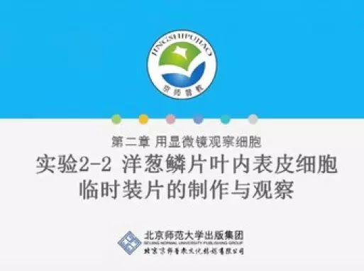 生物2-2 洋葱鳞片叶内表皮细胞临时装片的制作与观察