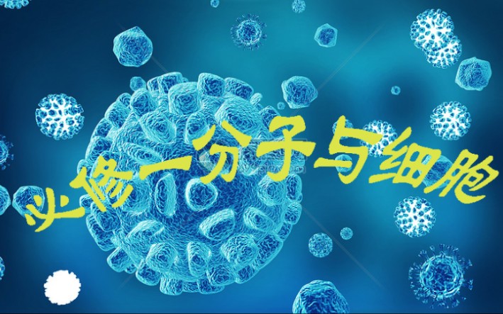 第三章第一节细胞膜的结构和功能