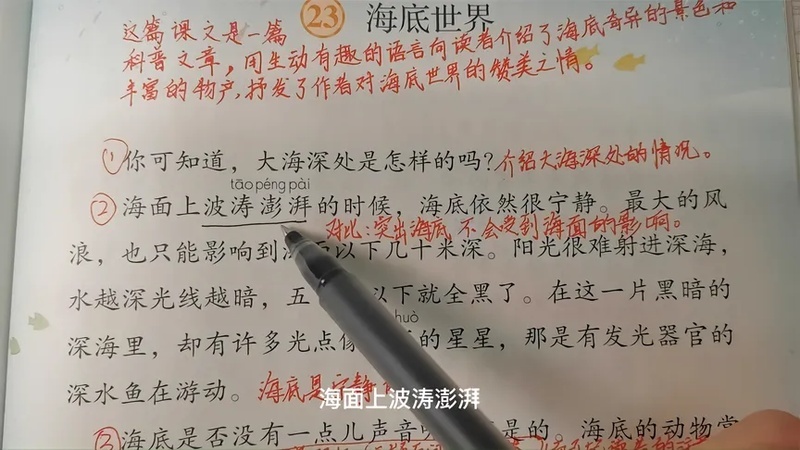 《海底世界》真奇妙,我们一起探索吧!附教师备课笔记