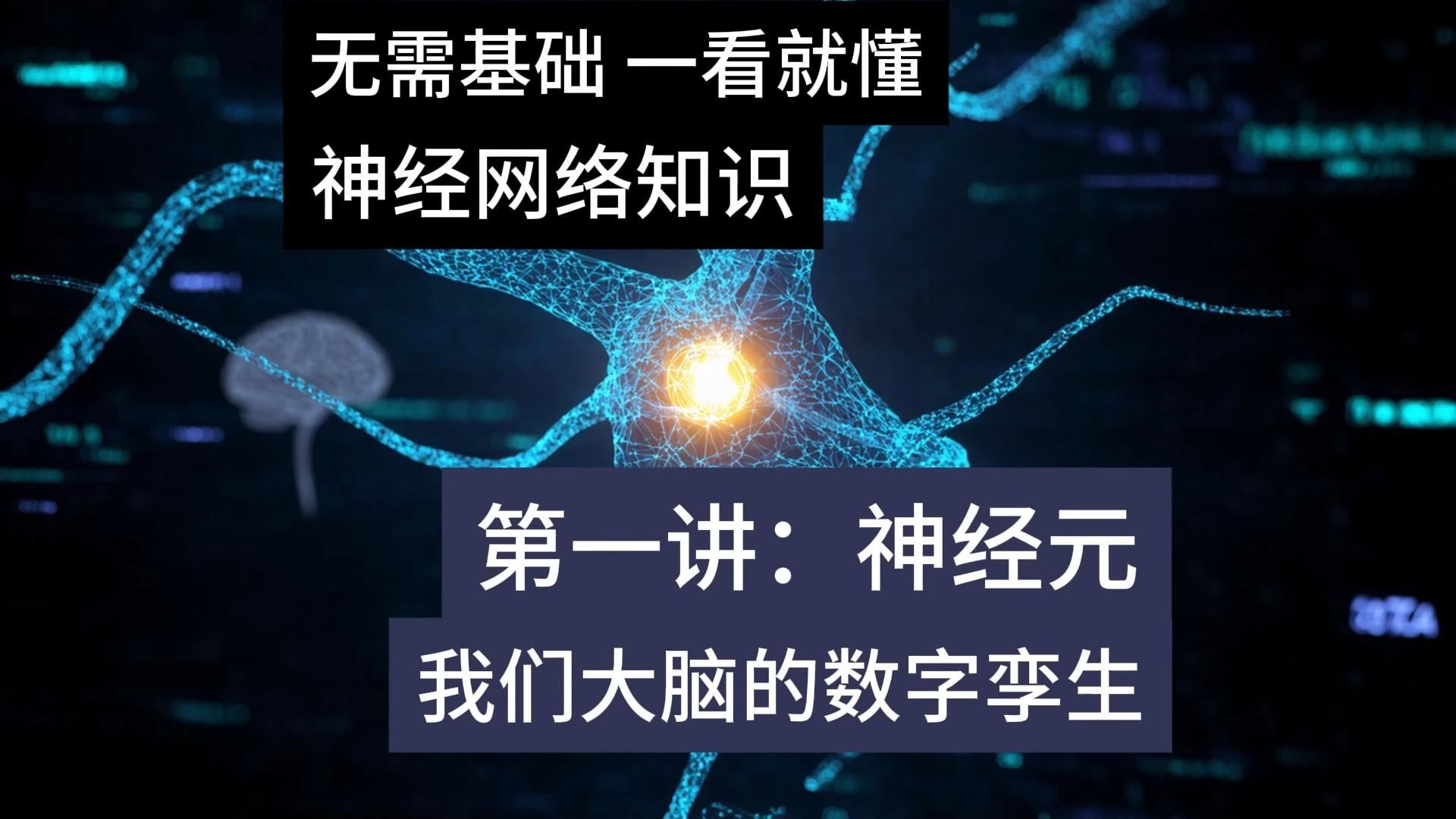 小白教程:神经网络理论知识 第一讲 神经元-我们大脑的数字孪生