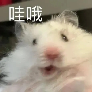 阿年睡了么 