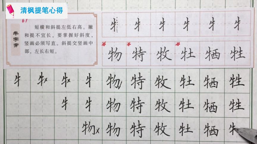硬笔书法入门视频教学基础笔画运笔图解,简直就是字帖