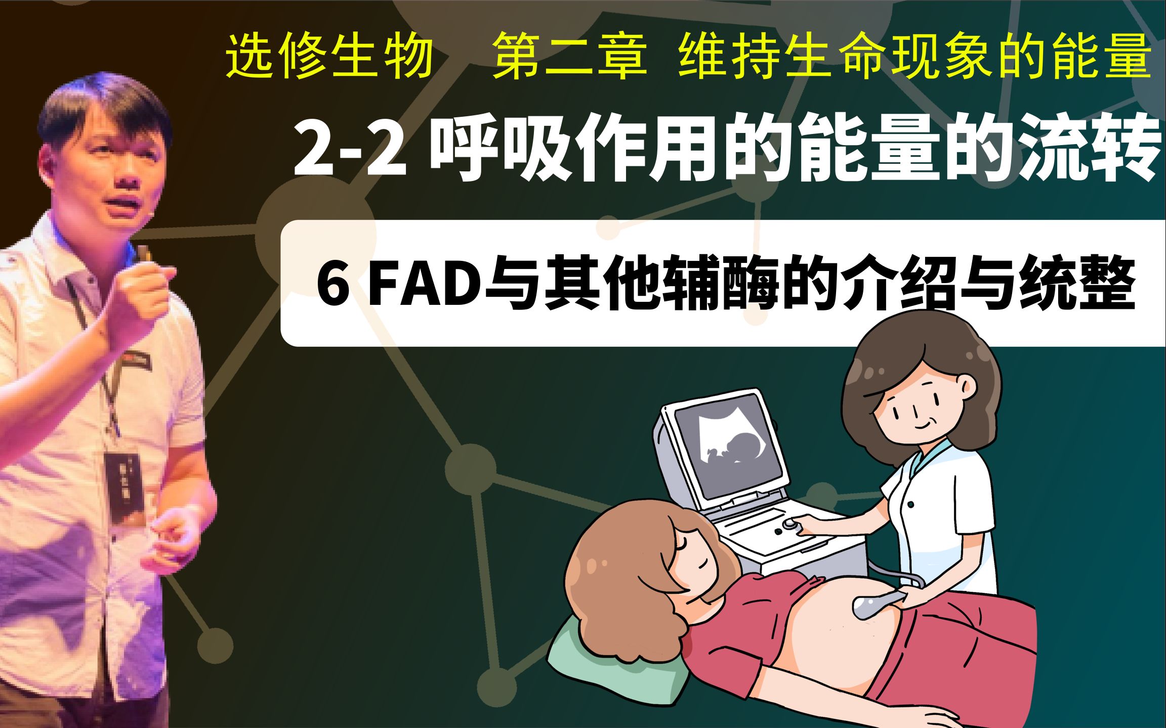 选修生物2-2.6 FAD与其他辅酶的介绍与统整