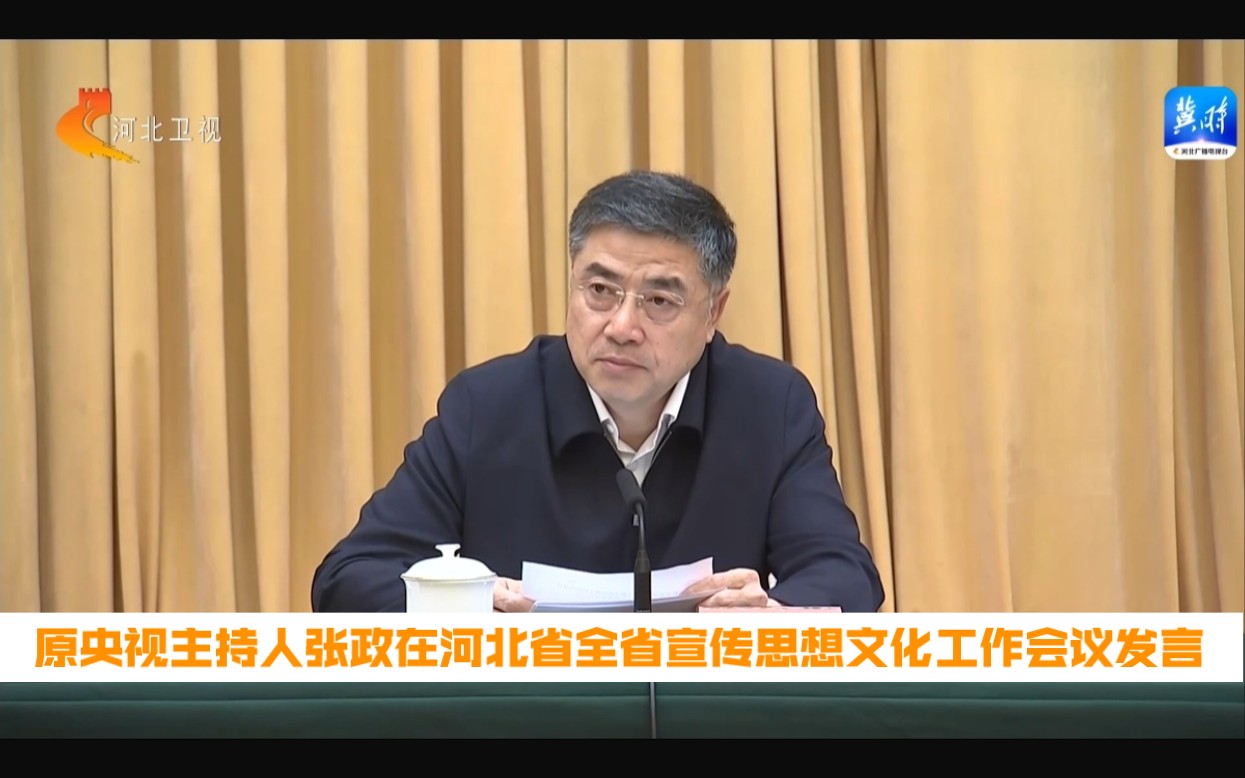 原央视主持人张政在河北省全省宣传思想文化工作会议发言