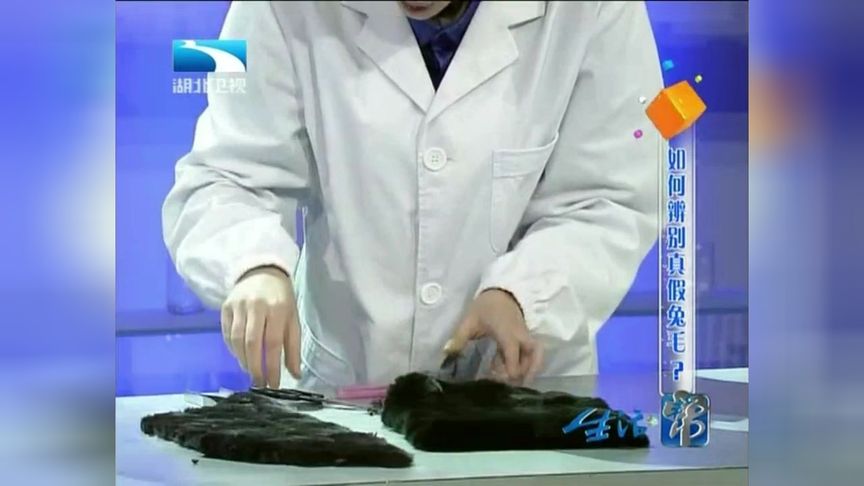 用这两个小方法轻松辨别真假兔毛