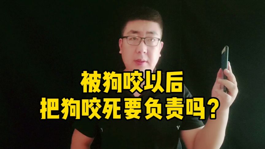 被狗咬了反把狗咬死需要担责吗?