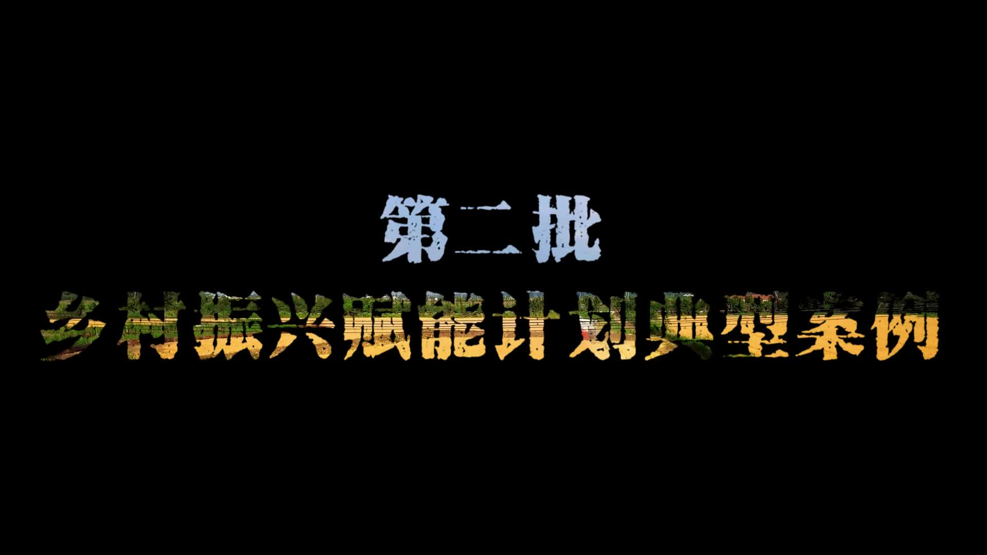 第二批乡村振兴赋能计划典型案例征集正式启动!如何报名?看这里