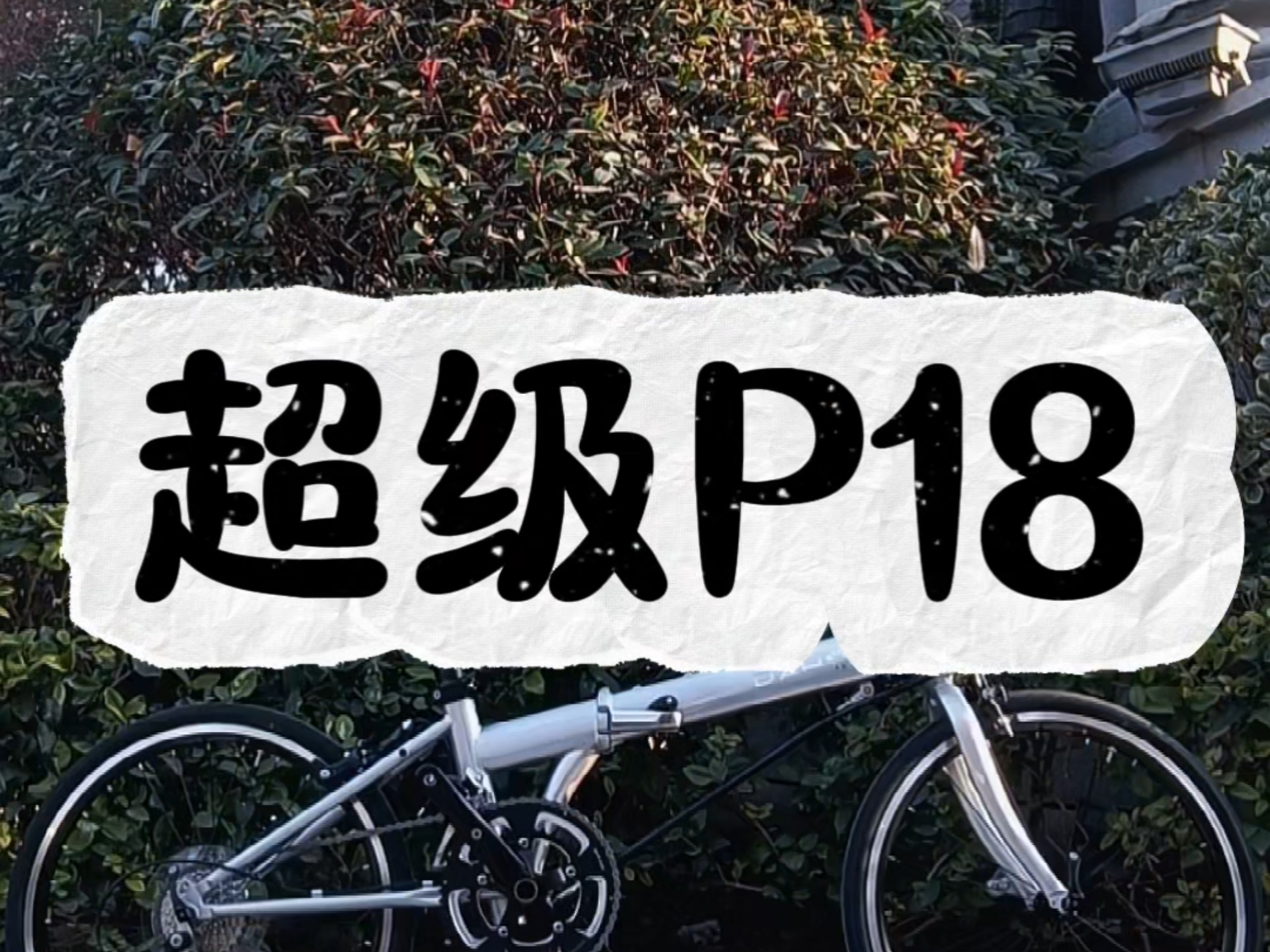 DAHON 大行新款超级P18︱KDC083 弯把折叠车