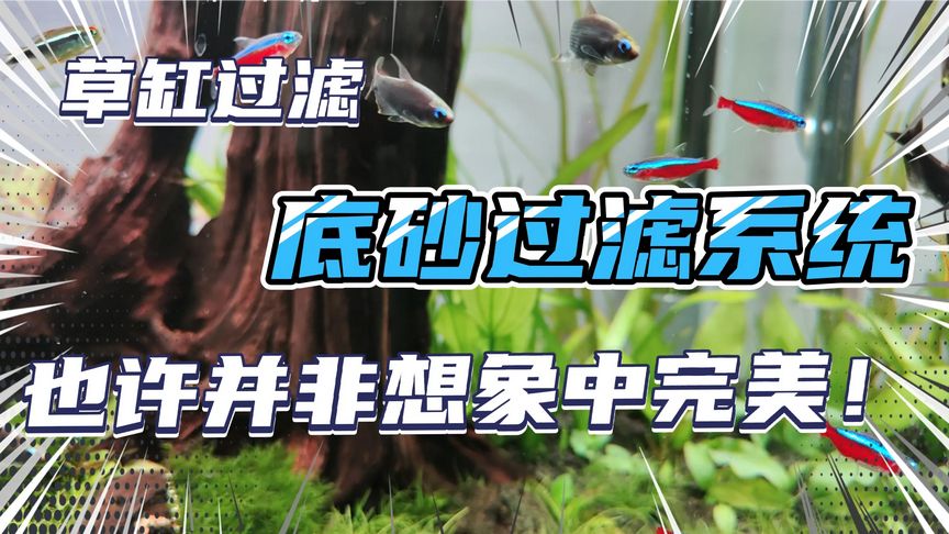 草缸过滤之底砂过滤系统,也许并非想象中如此完美!