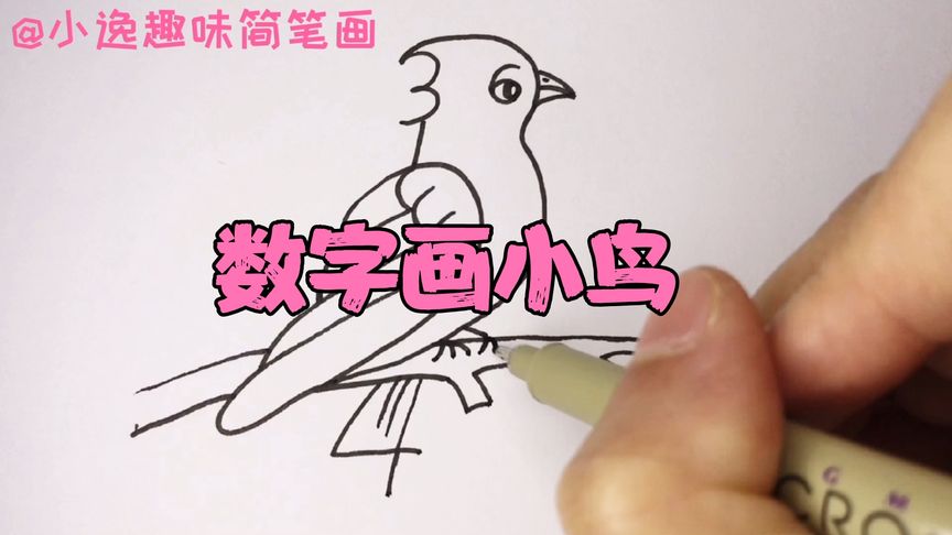 教你用数字画小鸟,你都找出了哪些数字呢?