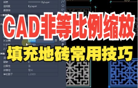 CAD非等比例缩放,填充地砖常用技巧!