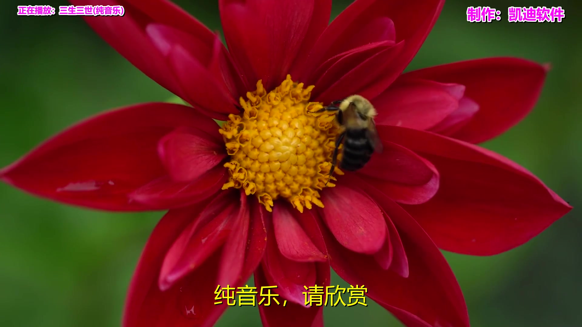 《三生三世(纯音乐)》欣赏,全民k歌里带特效的mv怎么制作