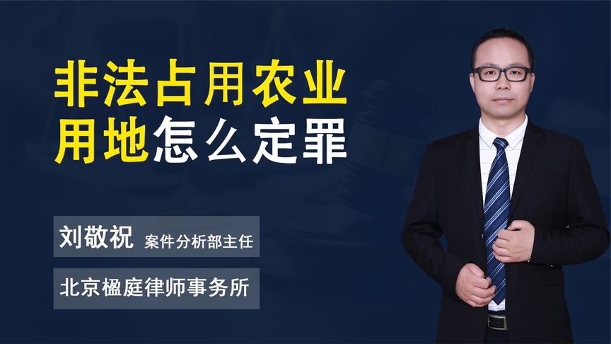非法占用耕地、林地等农用地