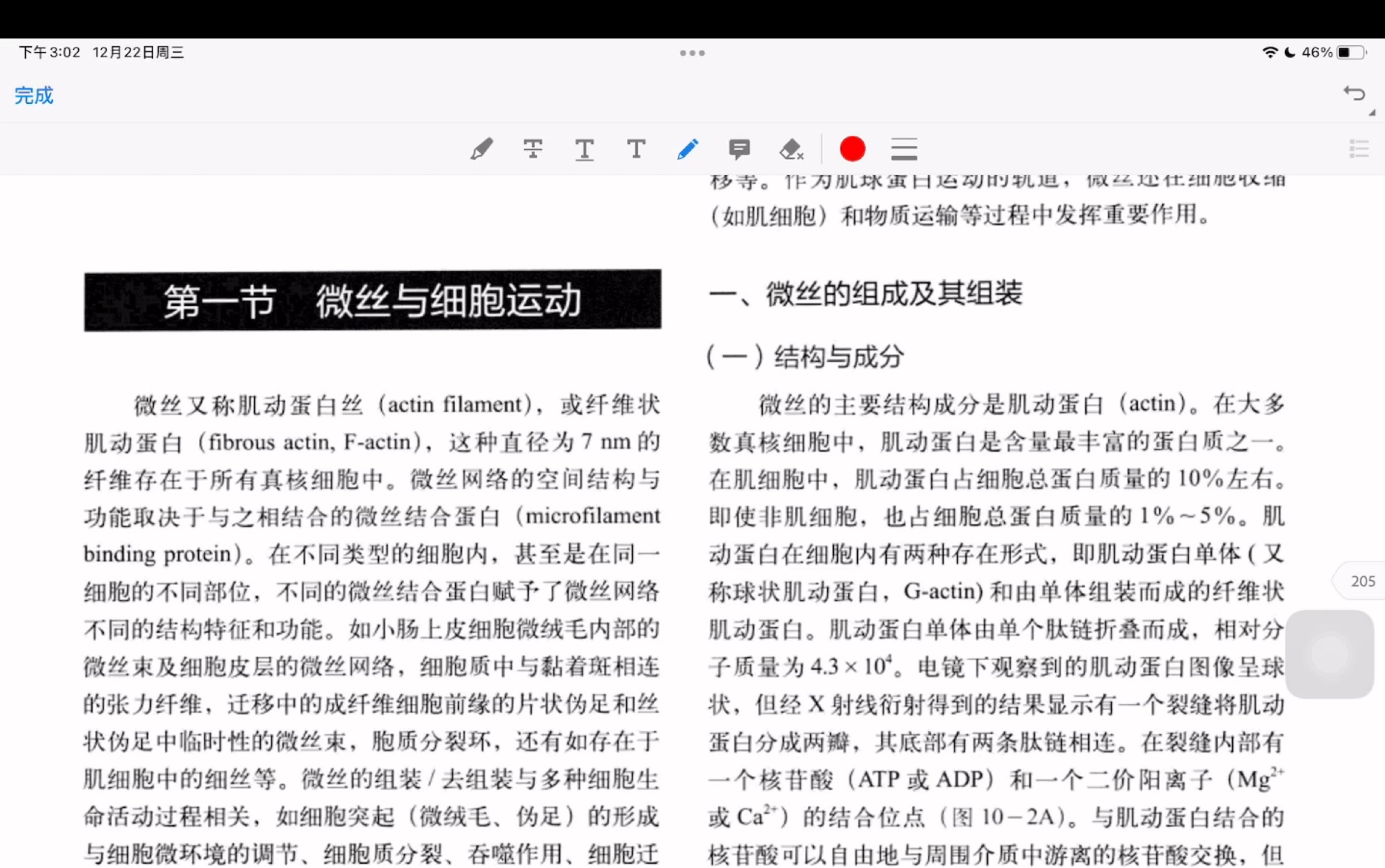 细胞骨架重点复习梳理(自用)