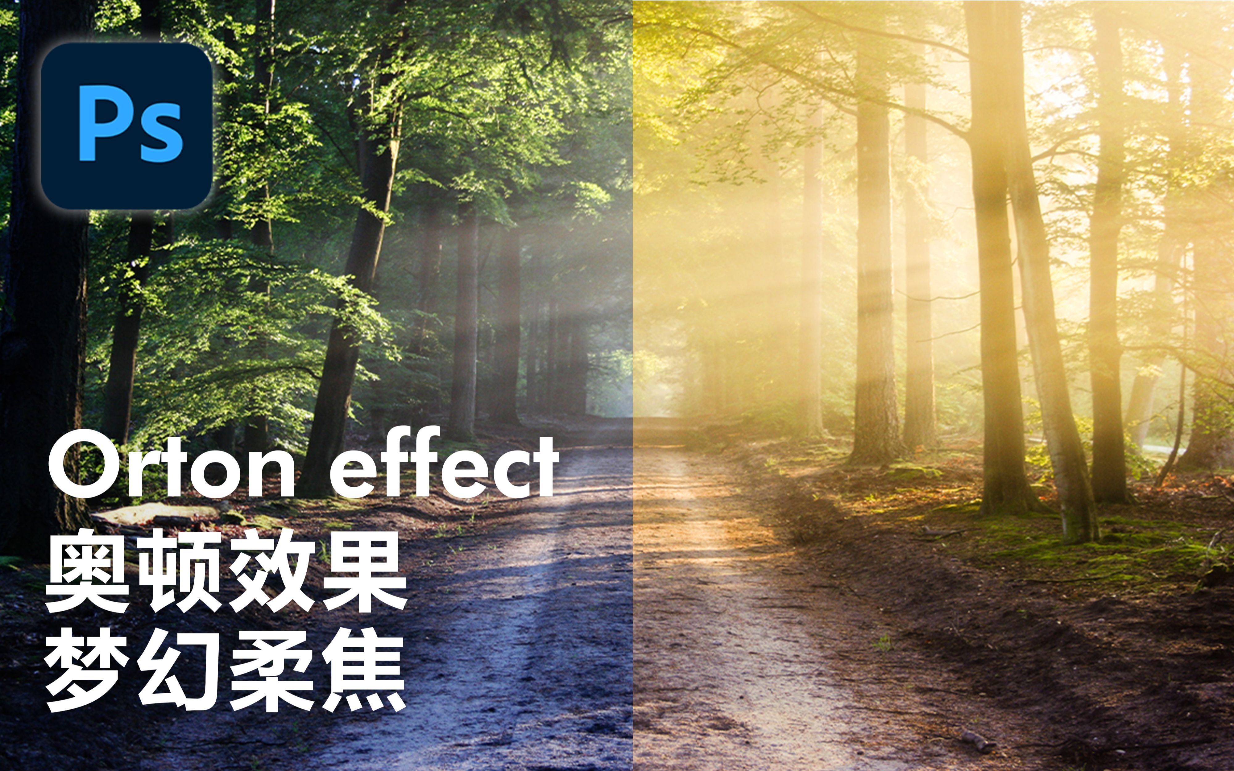 省钱省时后期技巧3 : 后期梦幻柔焦-奥顿模糊Orton effect, 赠送Ps一键...