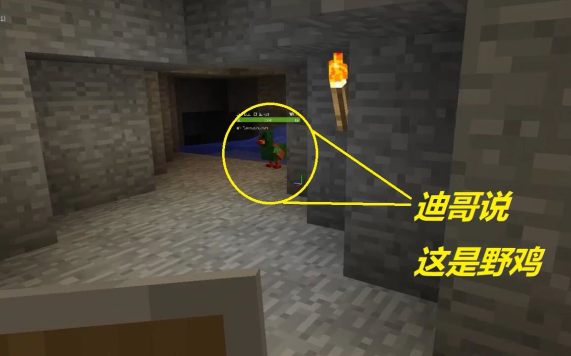 我的世界多人匠魂7:迪哥的野鸡吓跑了我,开启修建与种植模式