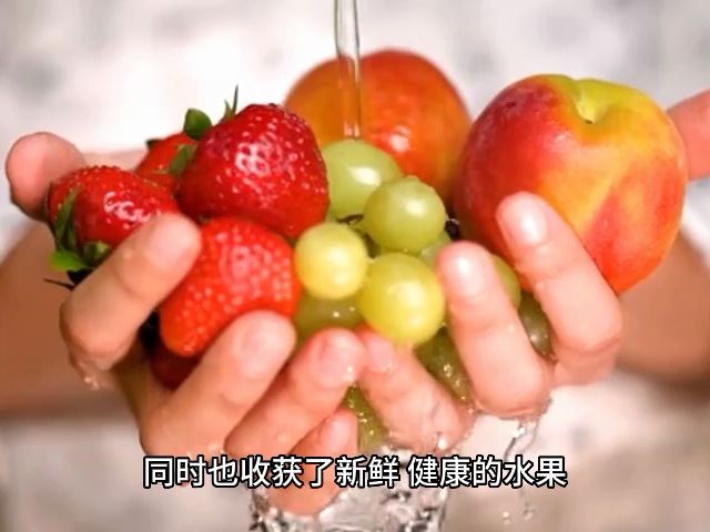 什么是认养农业,认养农业项目中的那些成功案例