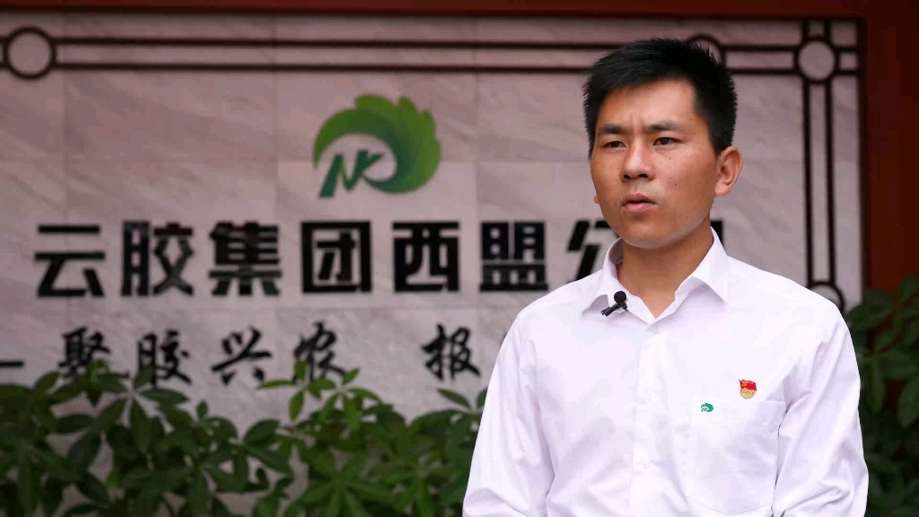 ...、牢记使命的理想信念,扎根基层,服务基层,为西盟县橡胶产业贡献力量!