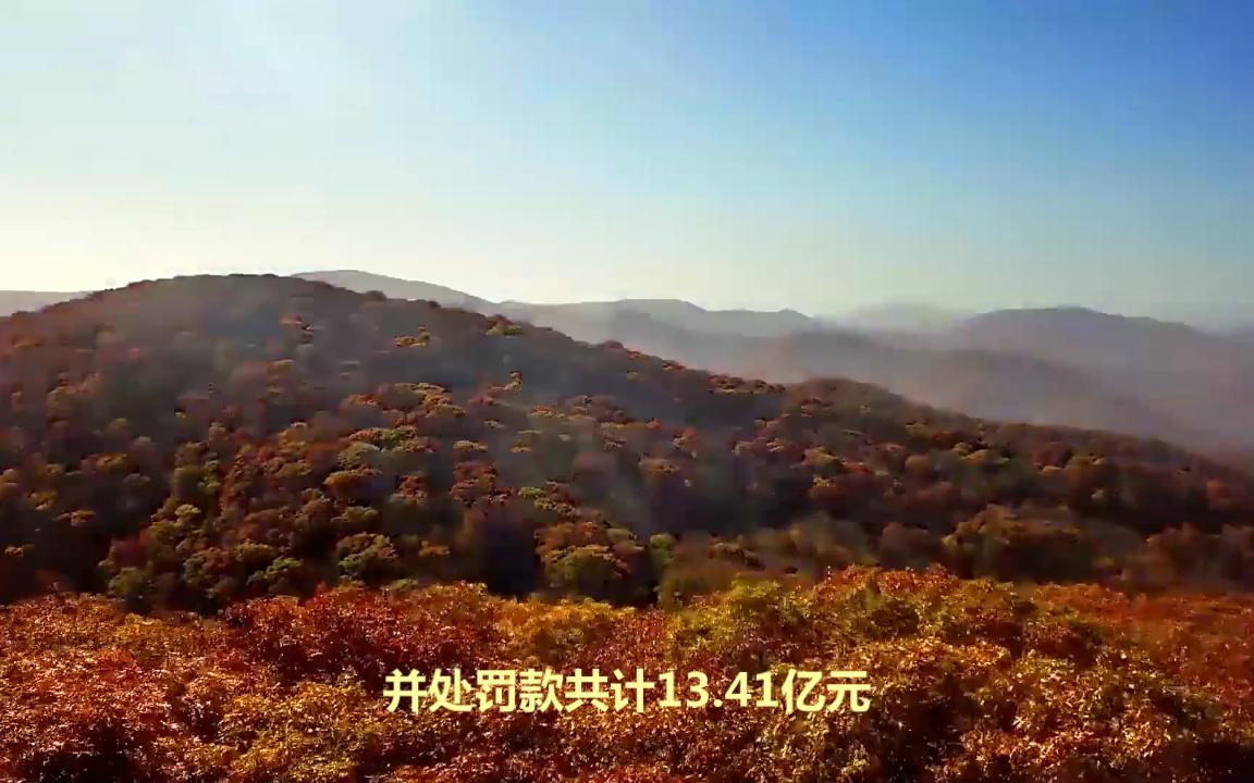 查处黄薇偷逃税案件再次敲响警钟,直播行业规范发展仍需多部门协同...