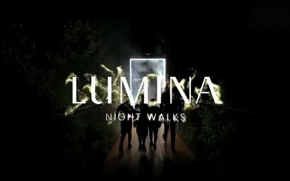 LUMINA简介