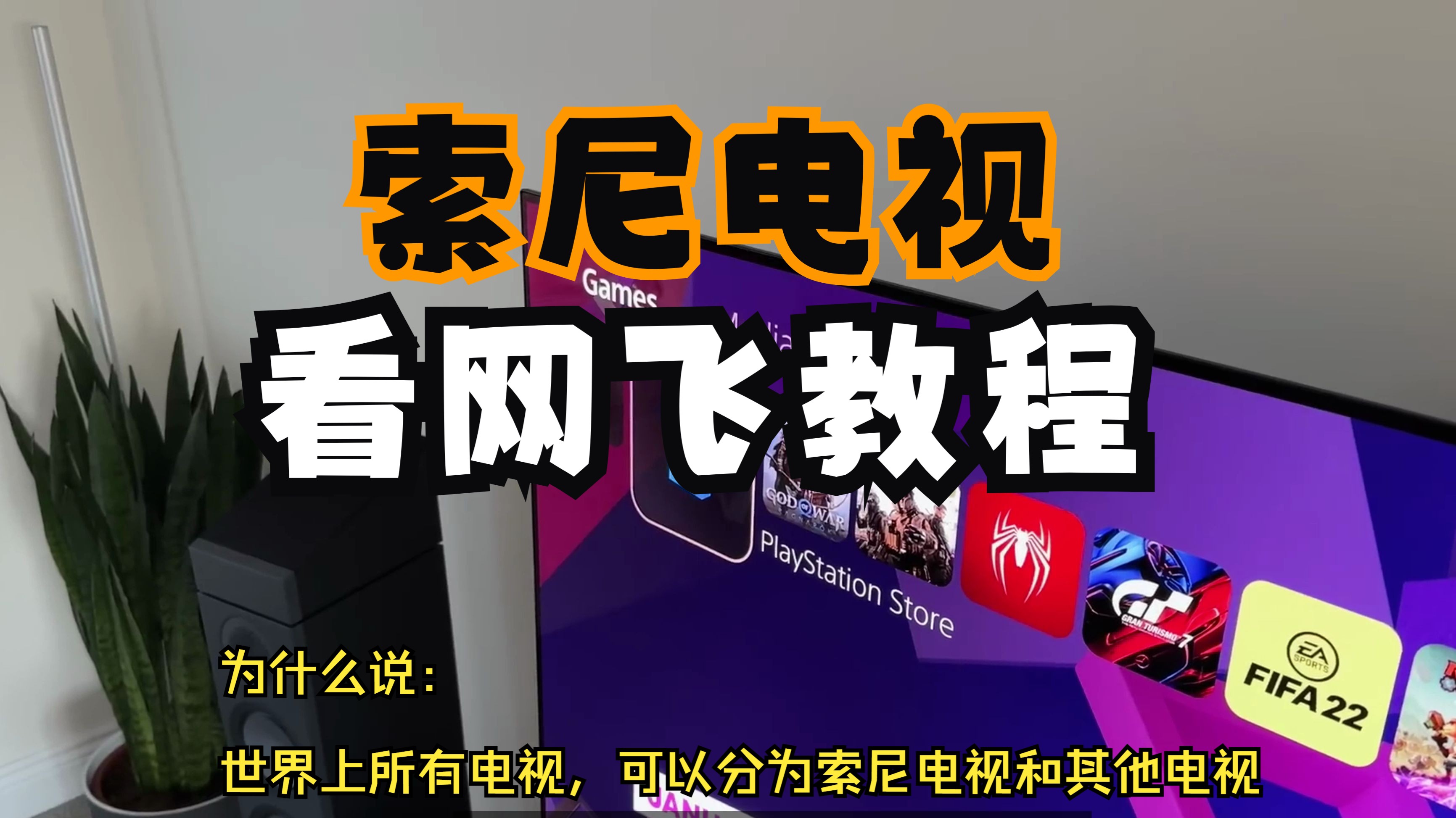 ...可以分为索尼电视和其他电视?索尼电视看网飞教程/国行SONY电视...