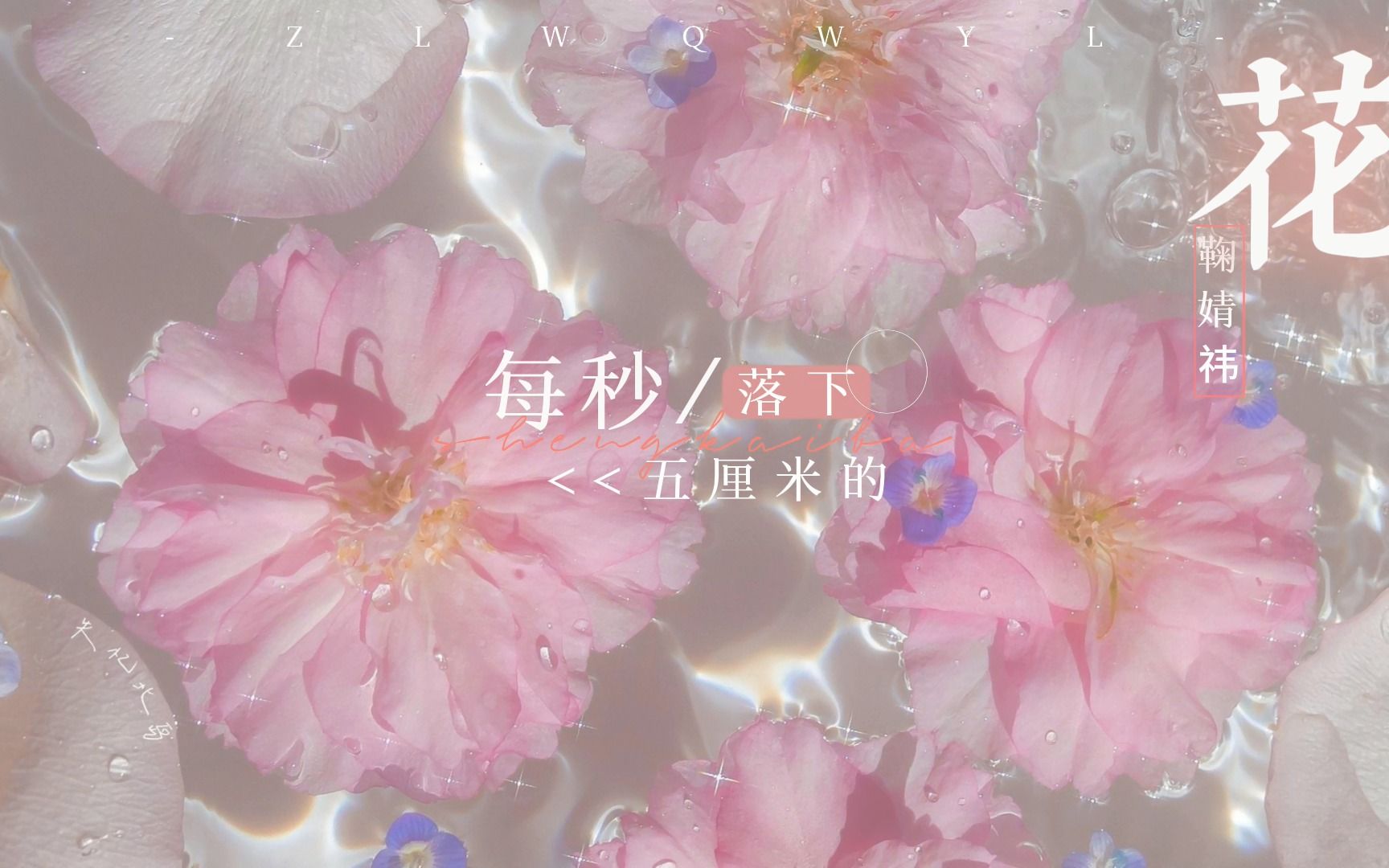 【动态歌词排版】花——鞠婧祎 | 盛开吧开吧开吧 让我清晰地思念吧