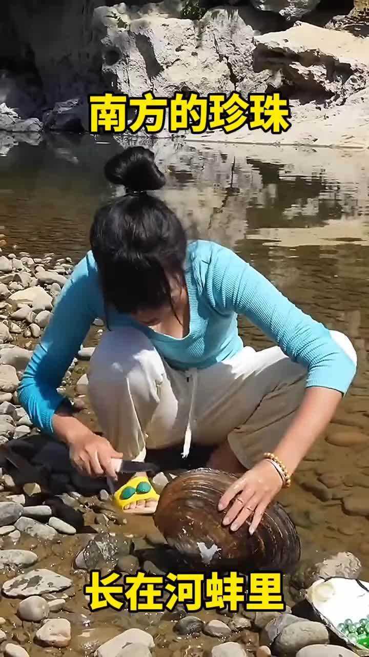 南方的珍珠,长在河蚌里
