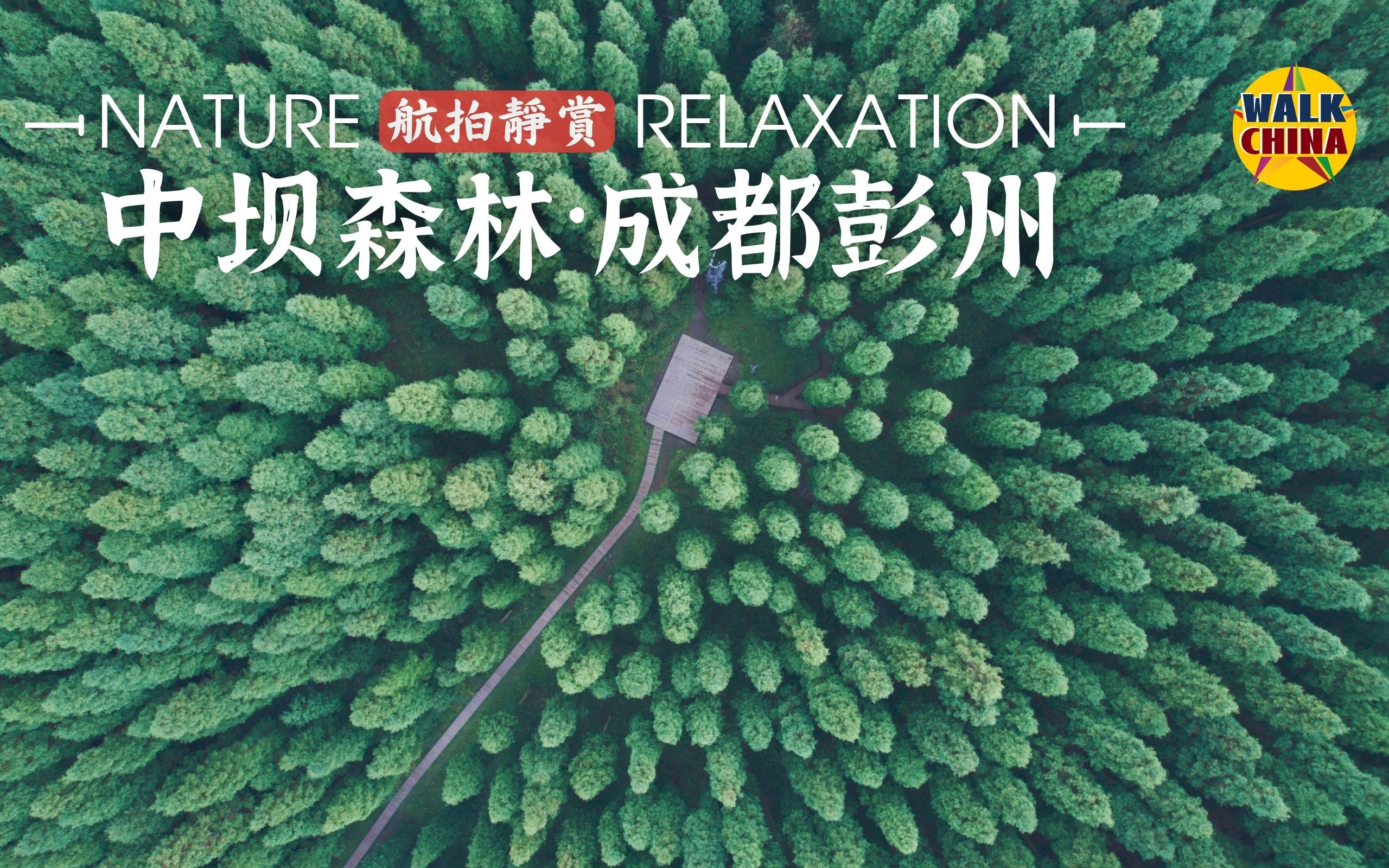 中坝森林,密集恐惧症的治愈|4K超清沉浸式航拍风光静赏与放松
