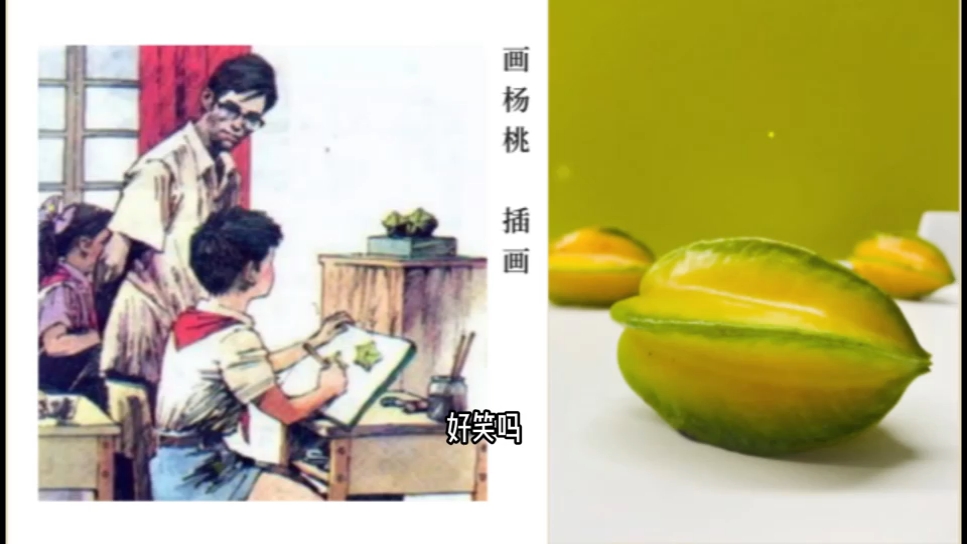 《画杨桃》小时候,我一直在想杨桃到底长什么样?长大后才知道人生就...