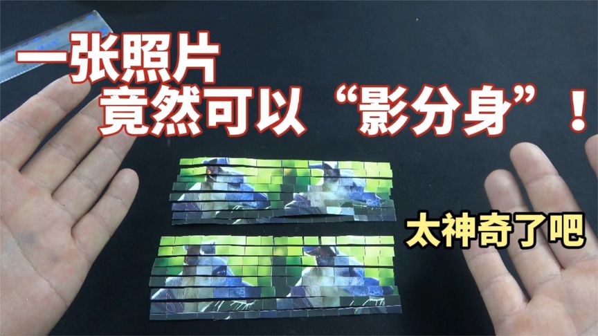 一张照片只需剪一剪,拼一拼就能无限组成相同的图案!什么原理?