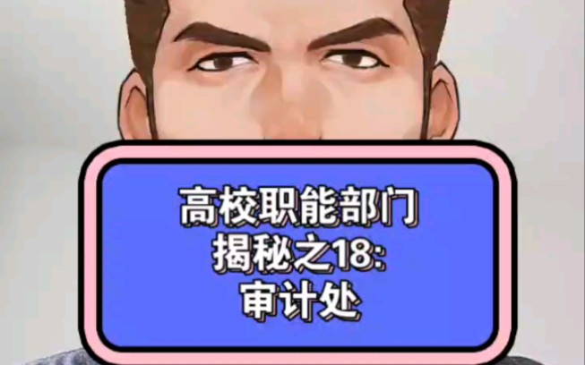 高校职能部门揭秘之18:审计处